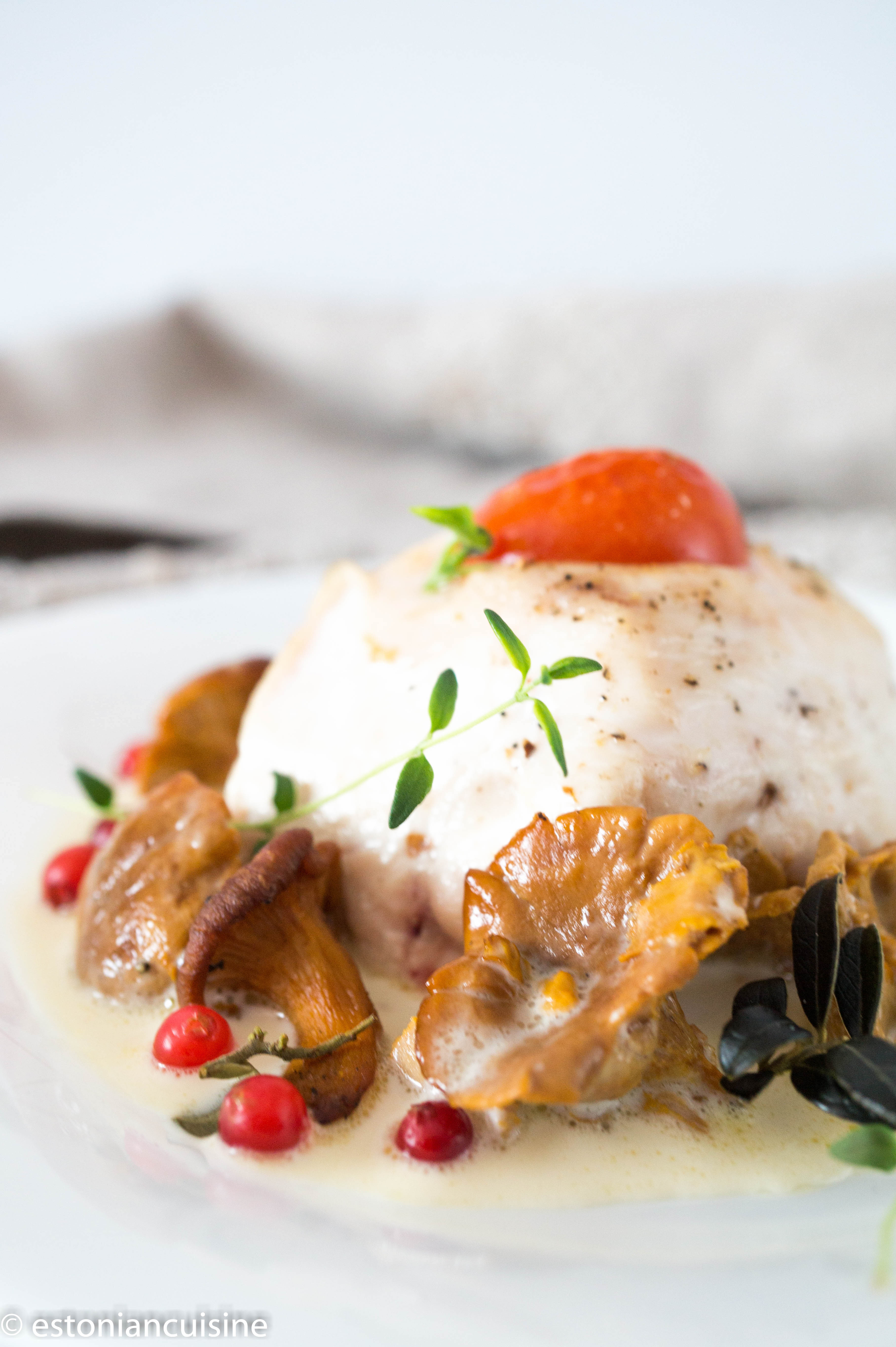 Creamy Chicken fillet with Chanterelle – Estonian Cuisine. Eesti Toit.