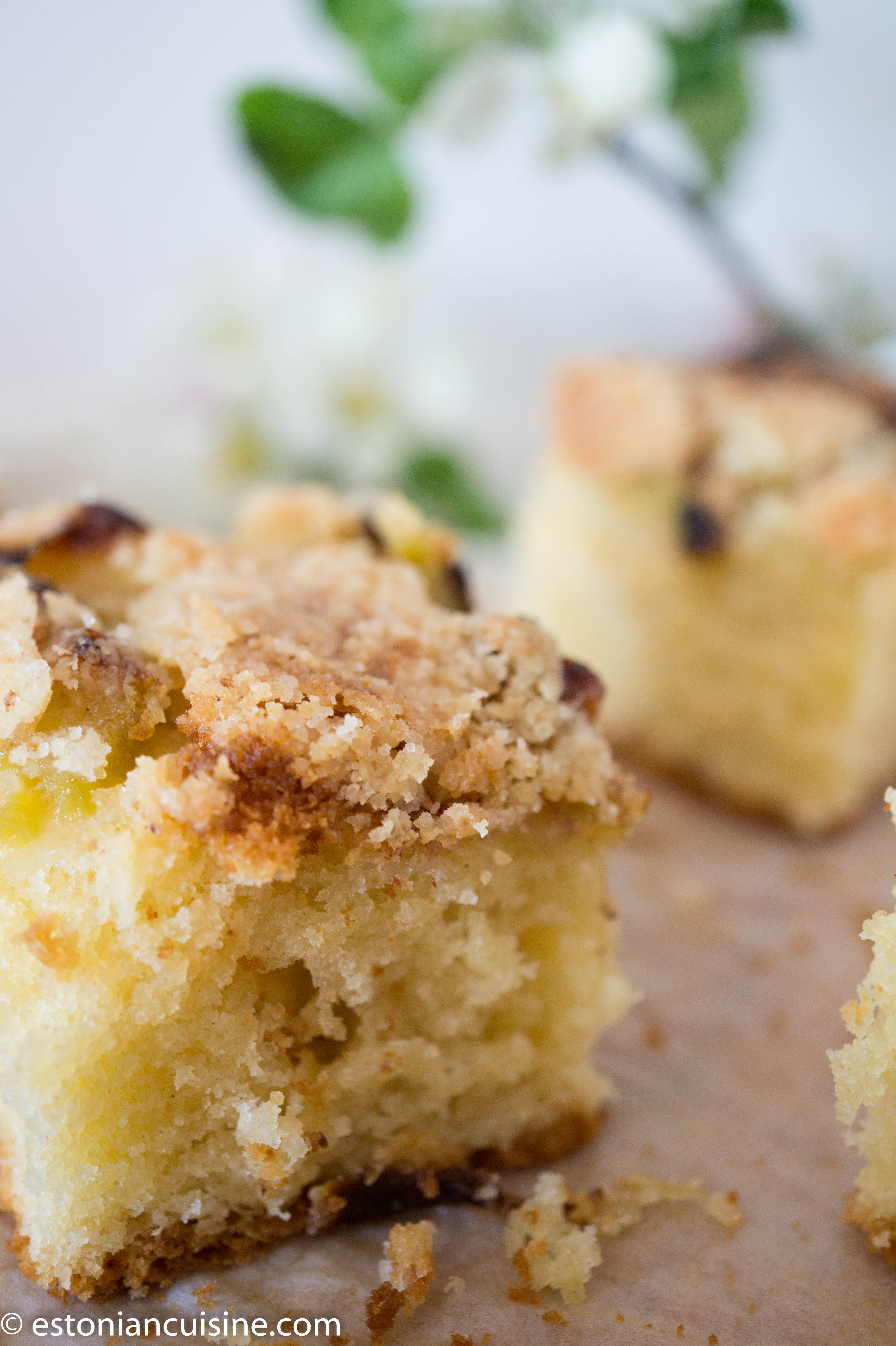 Rhubarb Crumble Cake. Rabarberipurukook – Estonian Cuisine. Eesti Toit.