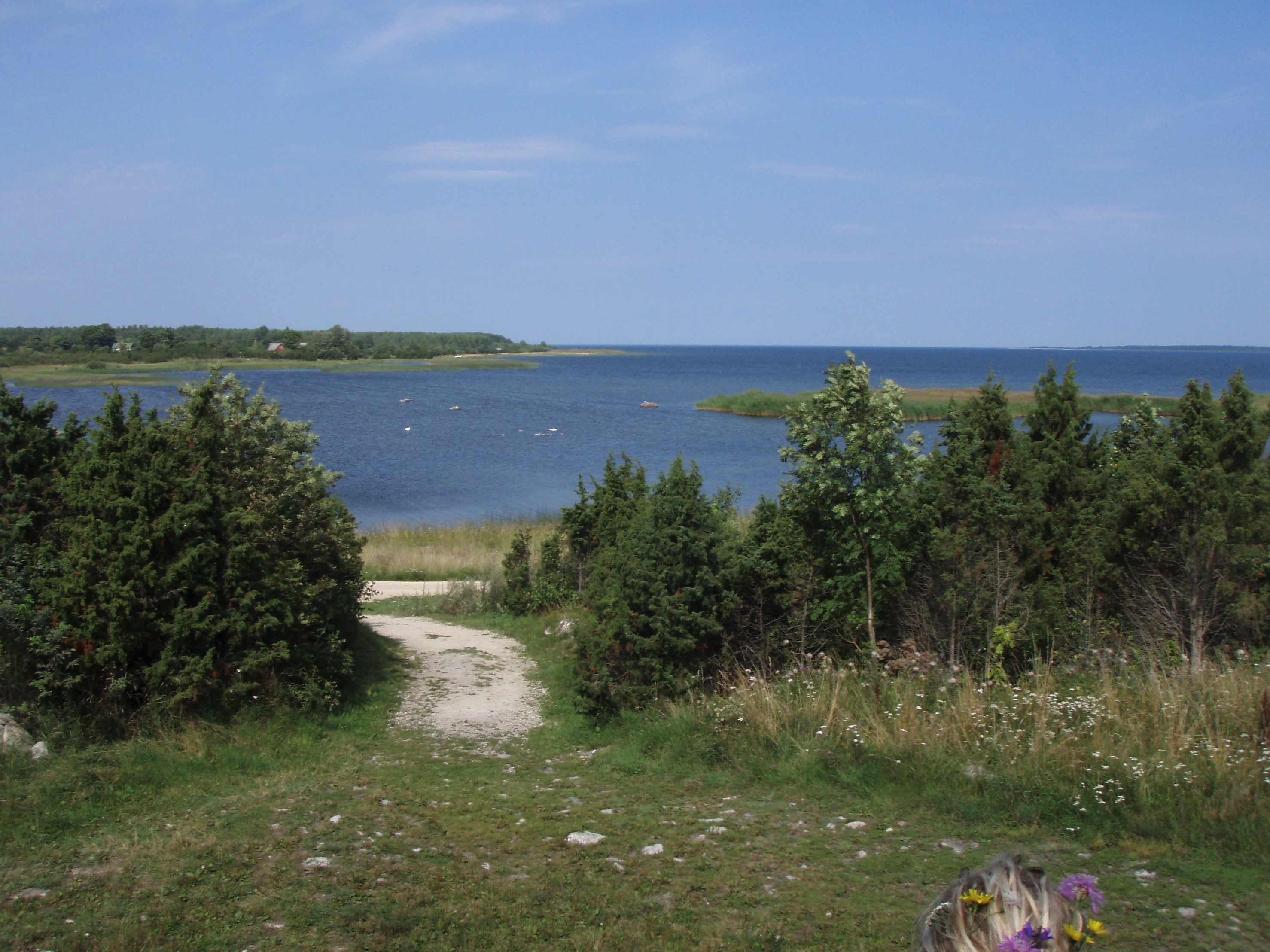 Muhu Island #visitestonia #Eesti100 #estonia100 #muhu – Estonian ...