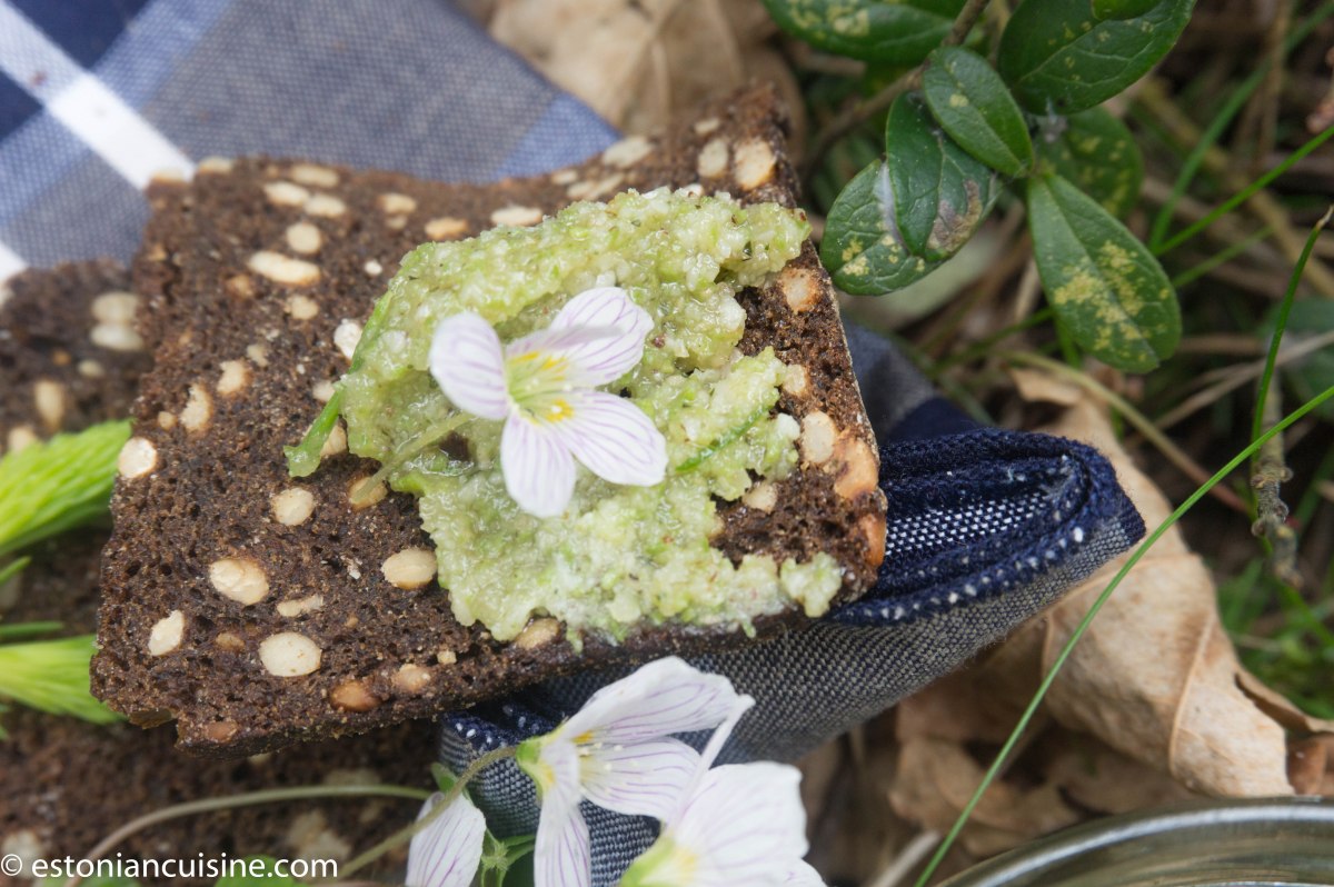 Spruce Tips Pesto. Kuusevõrse pesto – Estonian Cuisine. Eesti Toit.