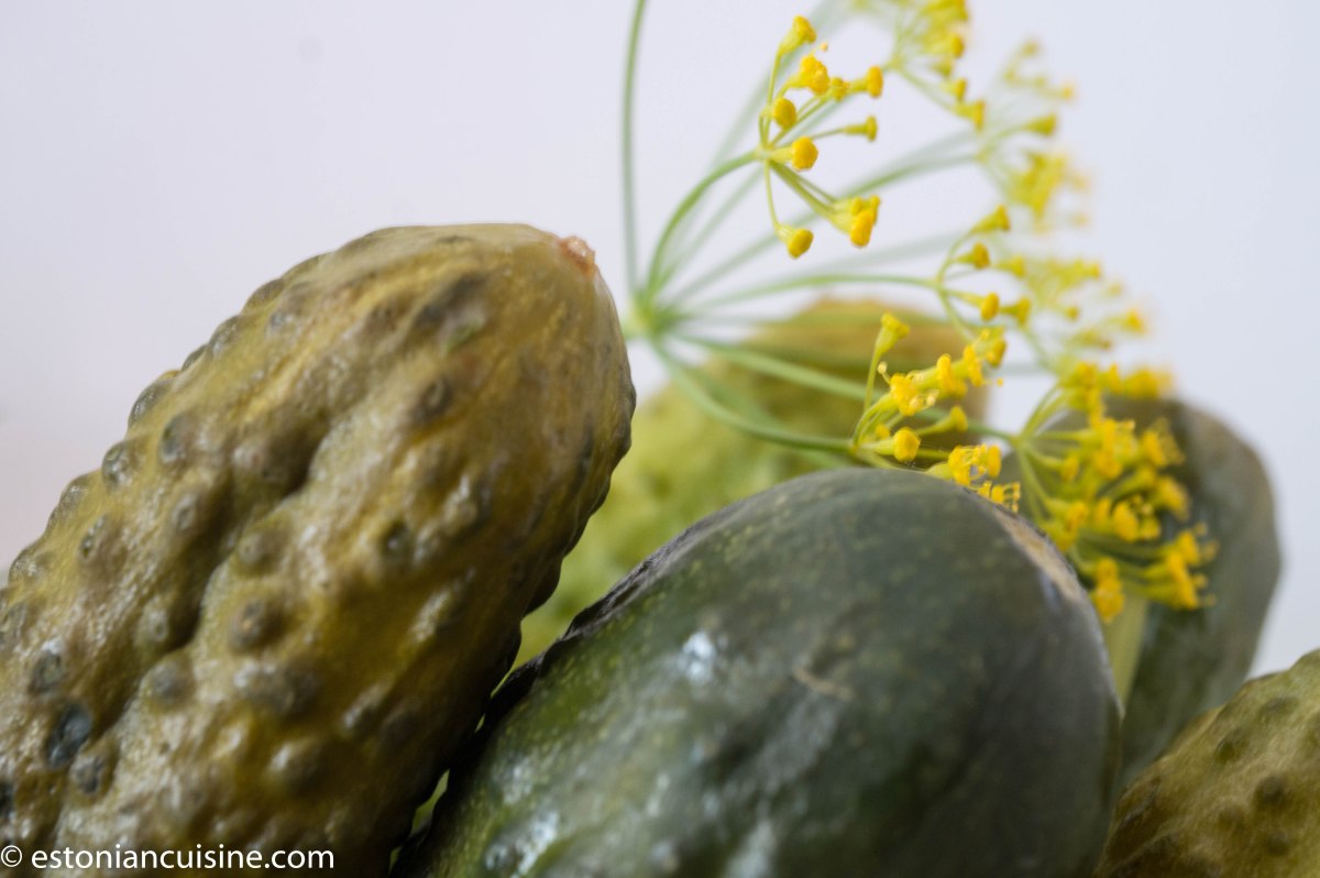 Freshly Salted Cucumbers. Estonian Salt pickles. Värsked soolakurgid ...
