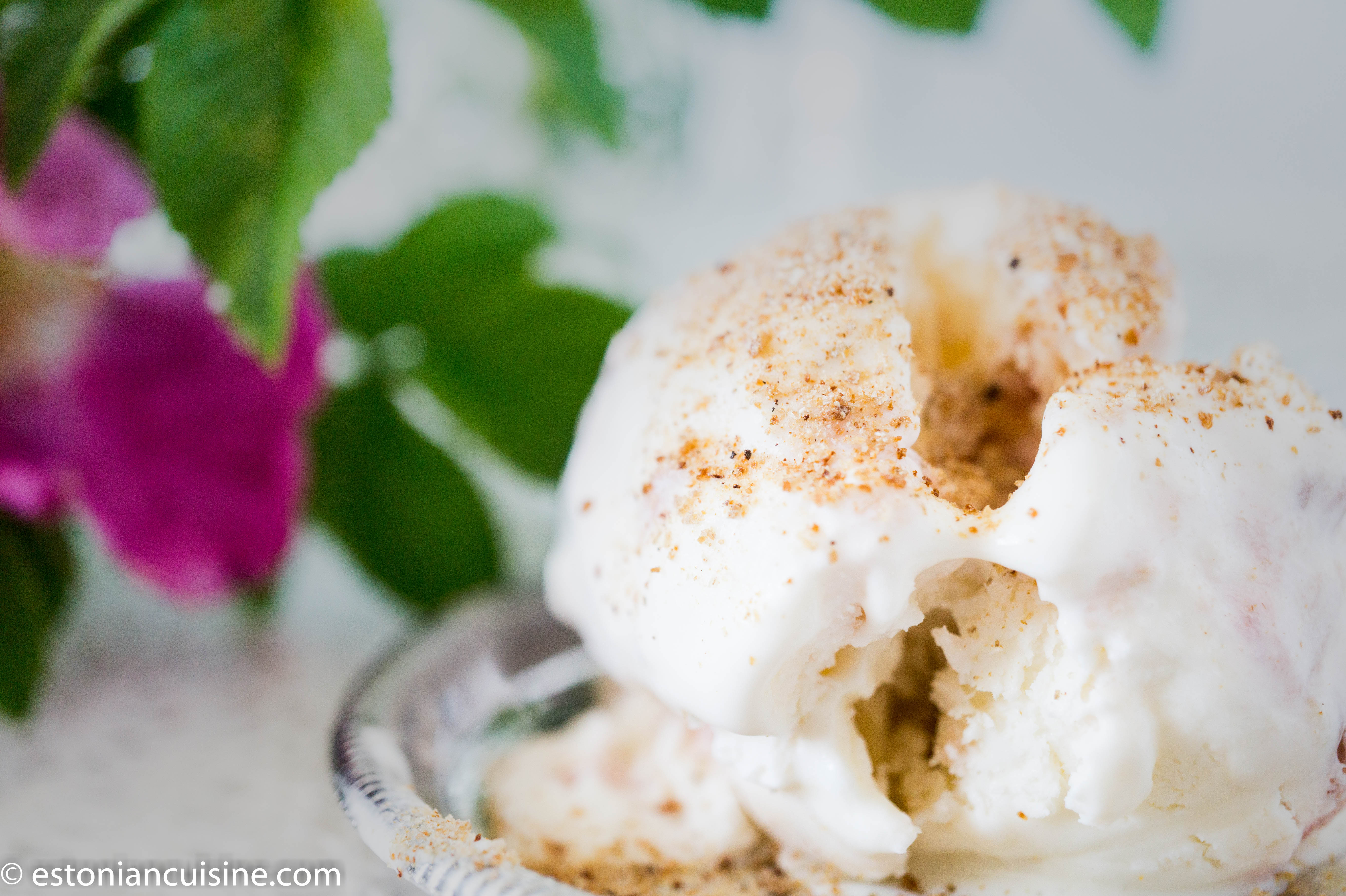 Rhubarb and Sour Cream Frozen Dessert. Rabarberi hapukooremagustoit ...