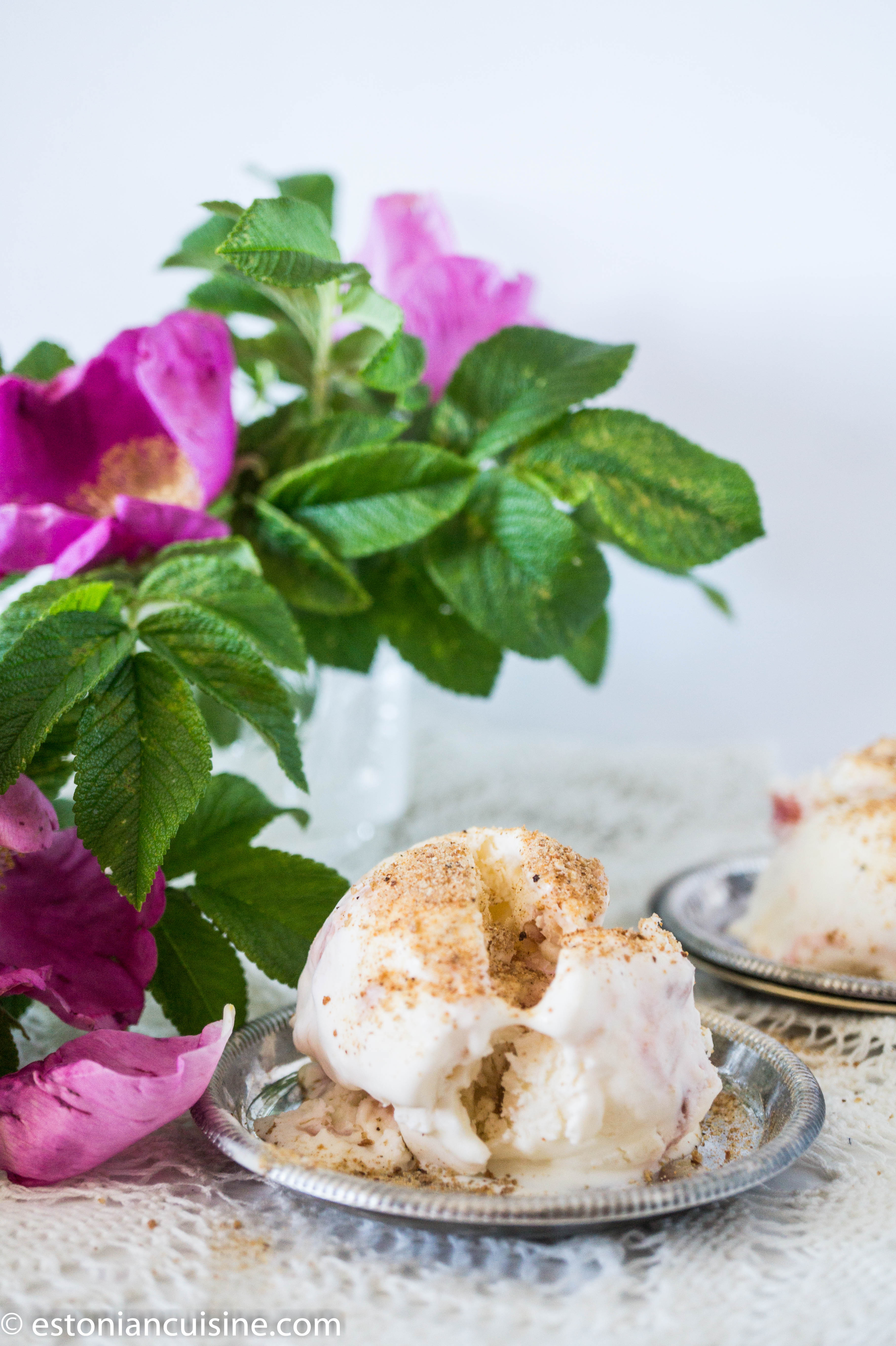 Rhubarb and Sour Cream Frozen Dessert. Rabarberi hapukooremagustoit ...