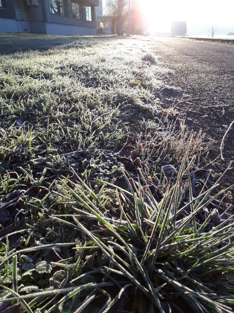 Estonian Cuisine. Eesti Toit. – Estonian Food and Cuisine. Easy and ...